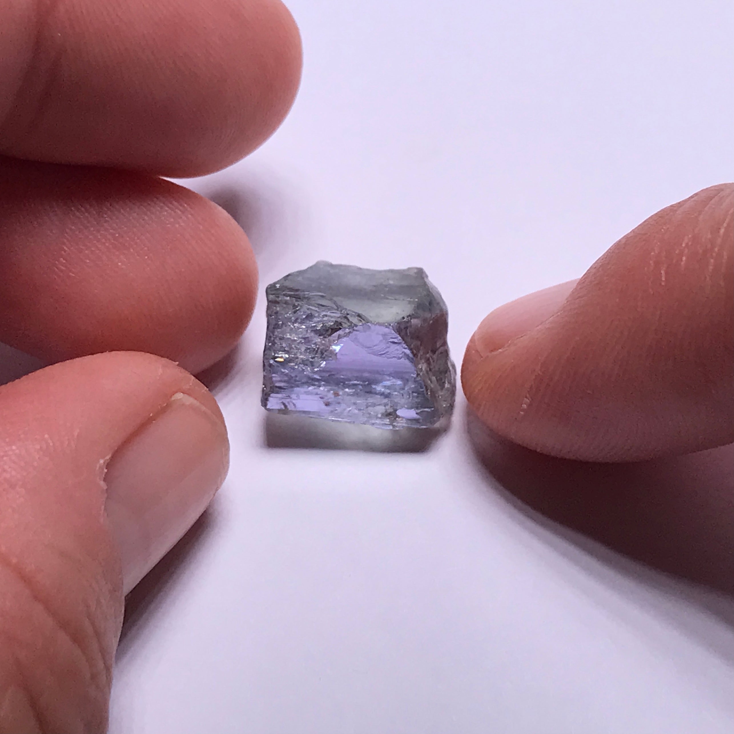 Gem Dragon Auctions